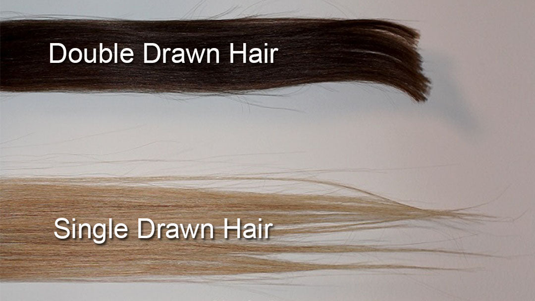 Single Drawn VS Double Drawn Hair, What's The Difference? – Hermosa Hair